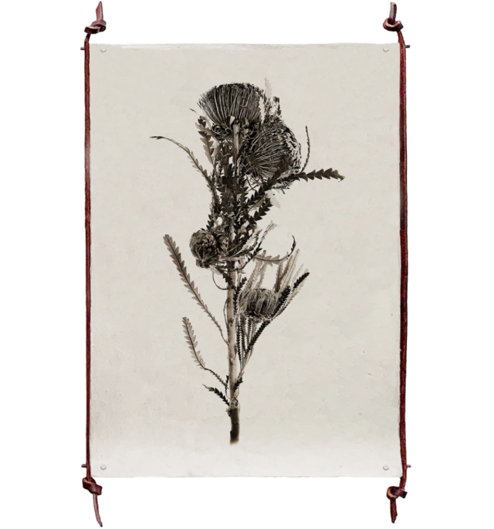 Barloga Leather Frames - Brown | Nature Together Online Store